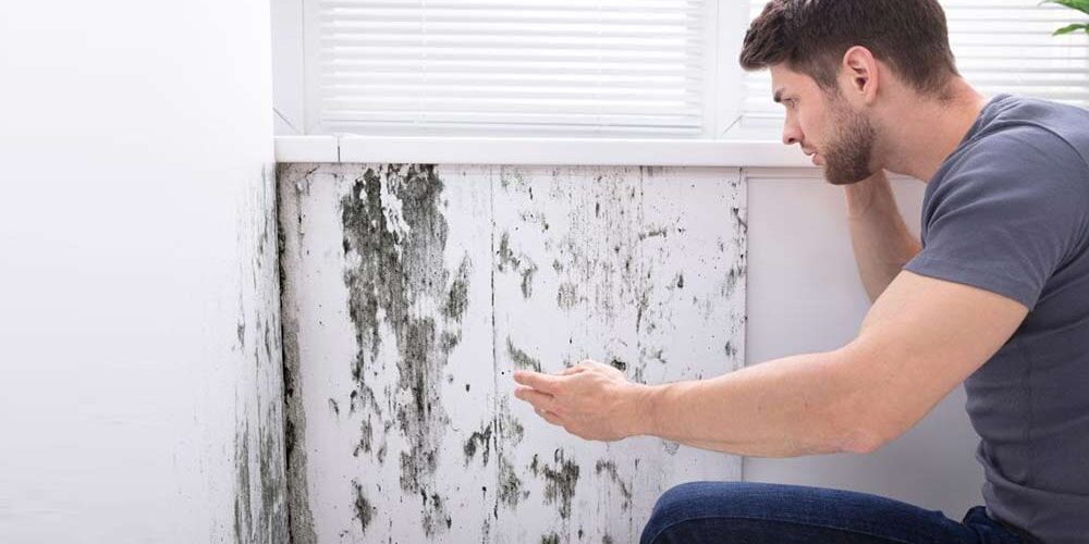 Mold: Symptoms of Exposure, Risks, and More